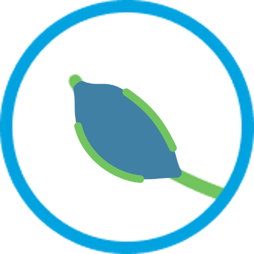 Flexible Electrode Balloons for More Stable Energy Delivery - salt ...